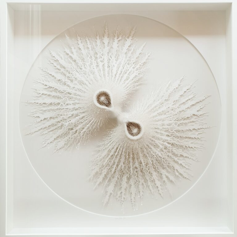 Art from Rogan Brown - Gallery40NL